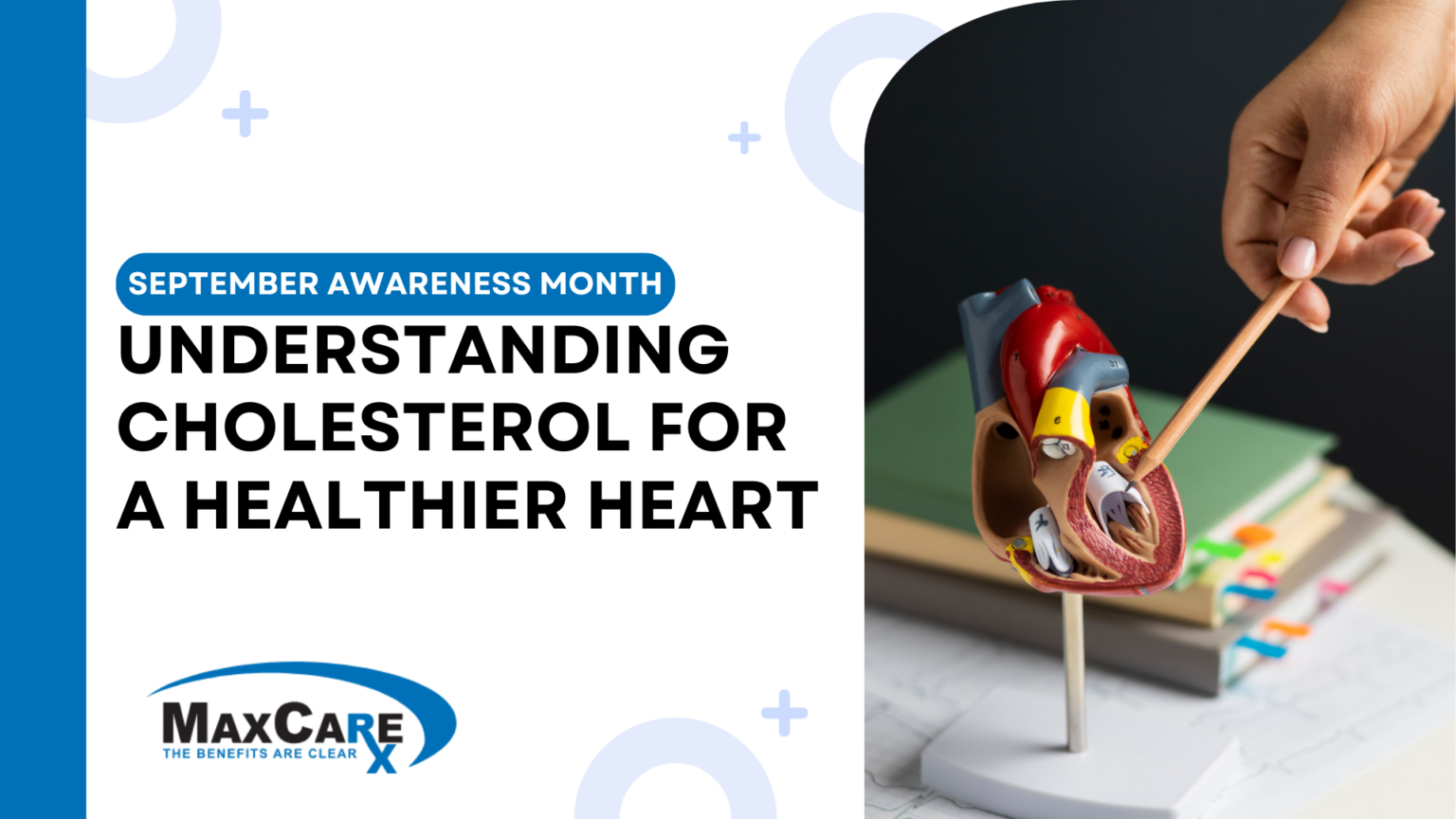 September Awareness Month: Understanding Cholesterol For A Healthier ...